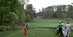 Final Round Masters GIFs | AdamSarson.com